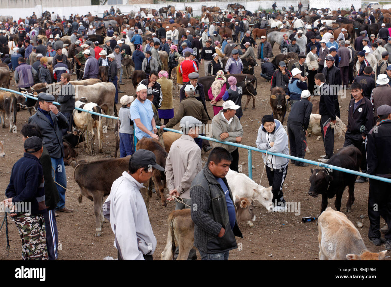 Animal market in Karakol, Kyrgyzstan Stock Photo - Alamy