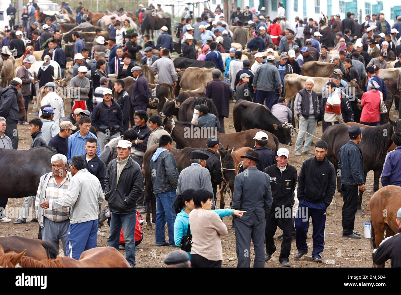 Animal market in Karakol, Kyrgyzstan Stock Photo - Alamy