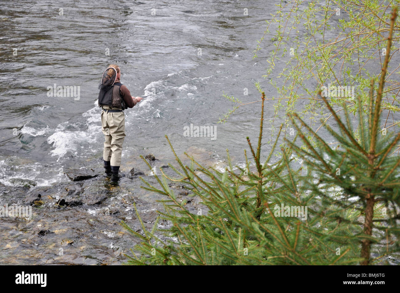 Man fly-fishing in river Ribnik Bosnia and Herzegovina Stock Photo - Alamy