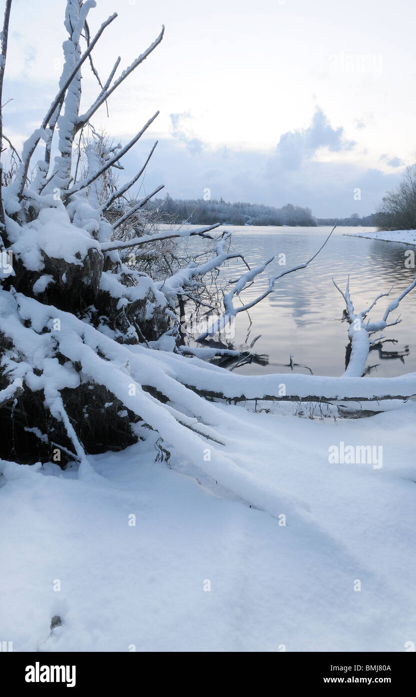 WInter snow scene Stock Photo - Alamy