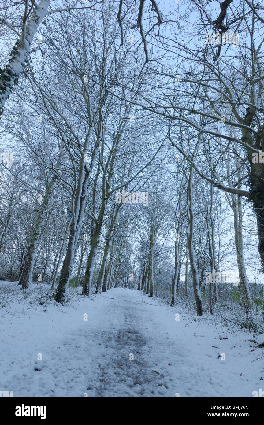 Winter snow scene in suffolk Stock Photo - Alamy