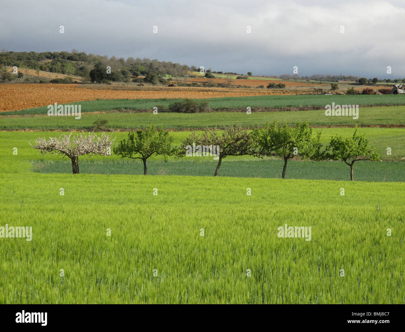 Primavera en la Provincia de Leon. España. CAMINO DE SANTIAGO. Spring ...
