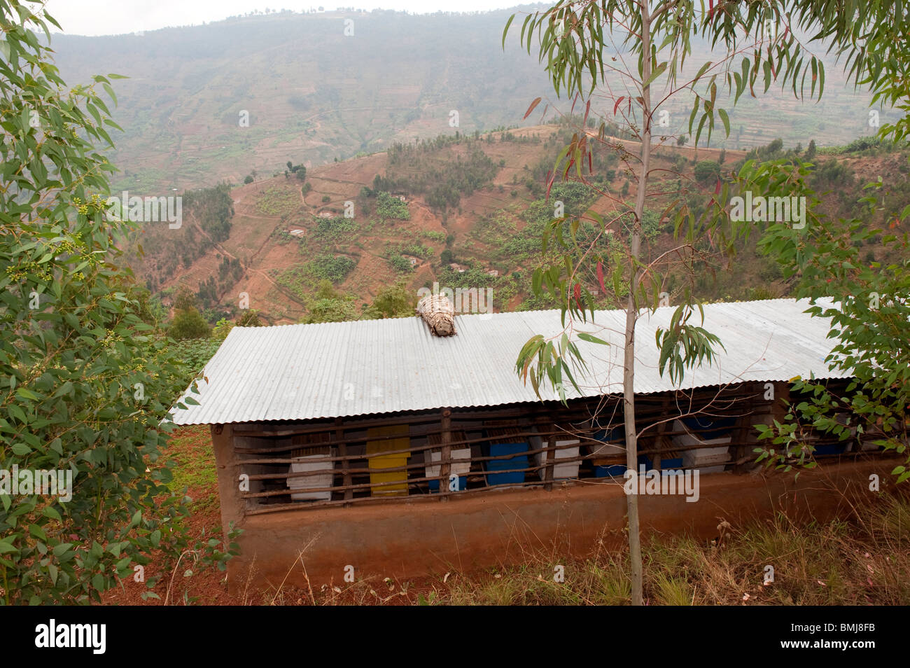 African bee hive hi-res stock photography and images - Alamy