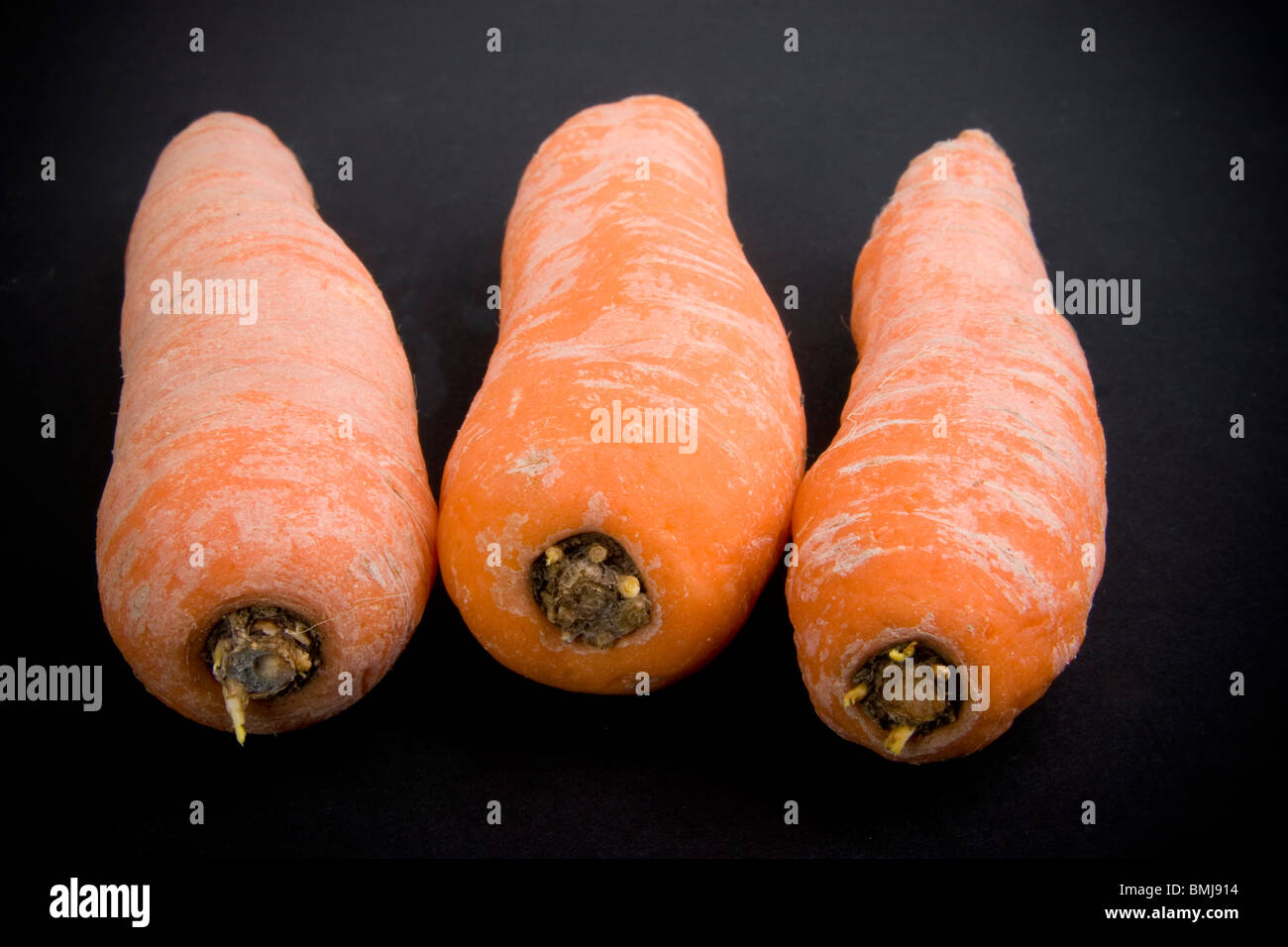 Close up carrots in food Cut Out Stock Images & Pictures - Alamy