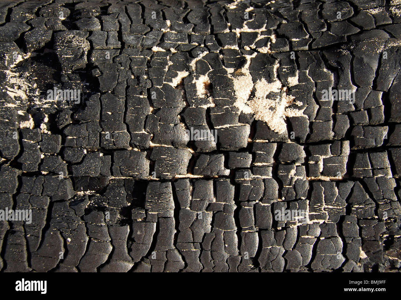 surface of burn log with sand Stock Photo - Alamy