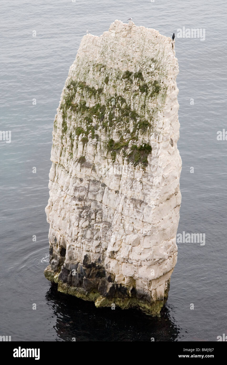 Dorset stack hi-res stock photography and images - Alamy