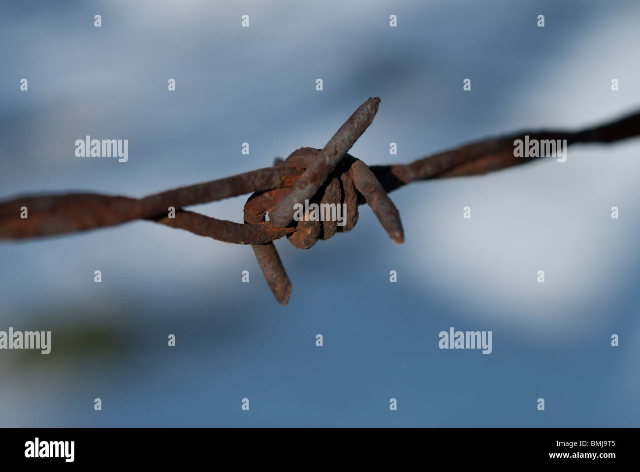 A close up of barbed wire Stock Photo - Alamy