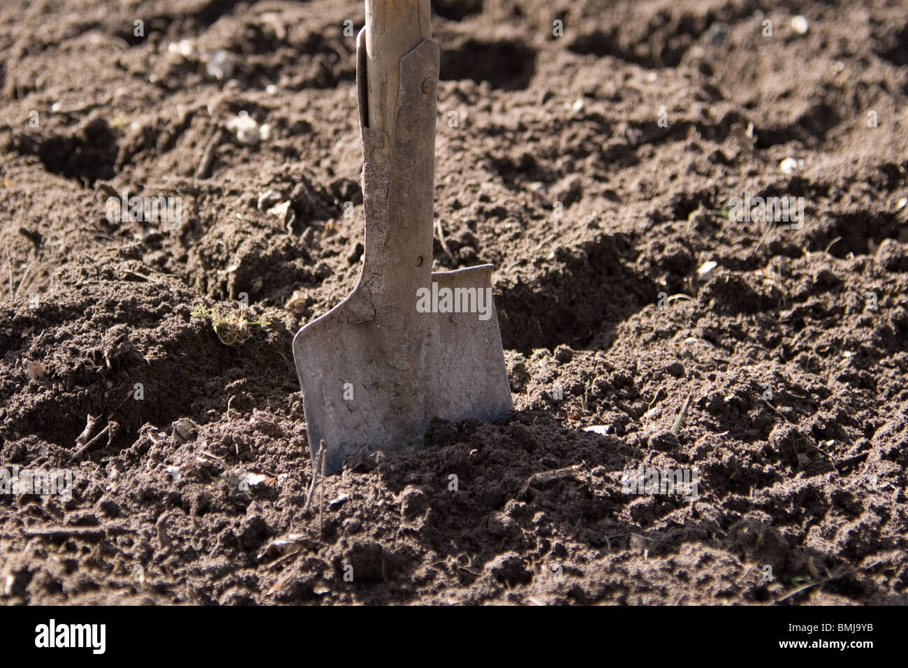 Spade in a ground Stock Photo - Alamy