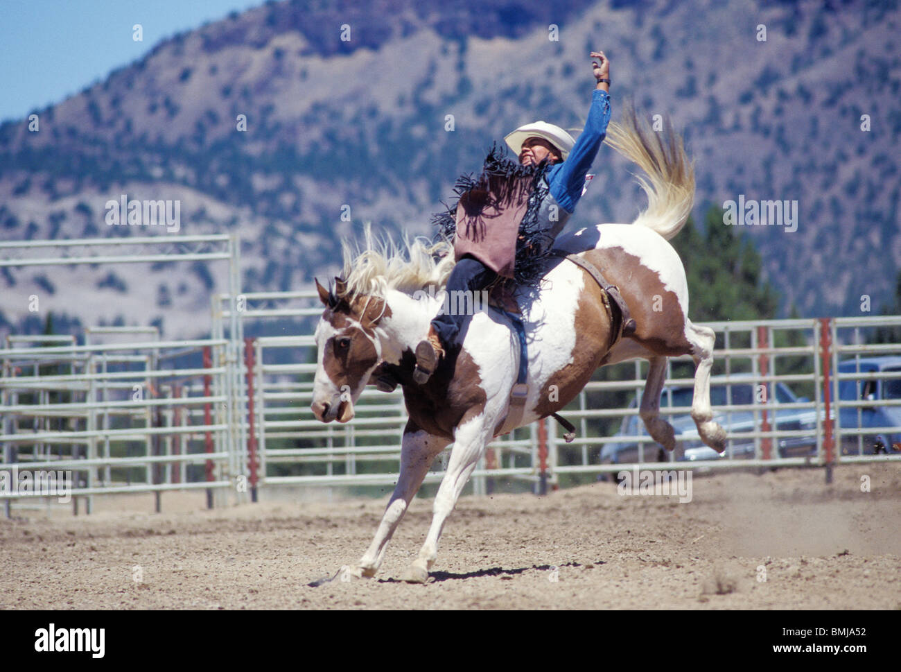 Bronc riding event at Pi-Ume-Sha Treaty Days Celebration all-Indian ...