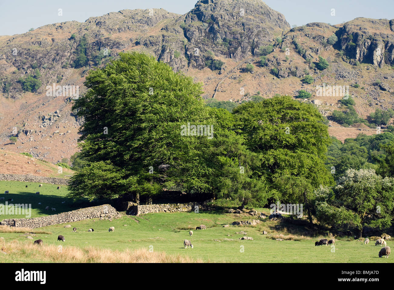 English park and gate hi-res stock photography and images - Alamy