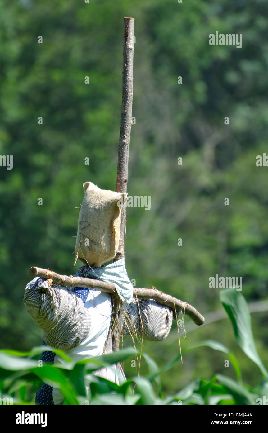 Scarecrow usa hi-res stock photography and images - Alamy