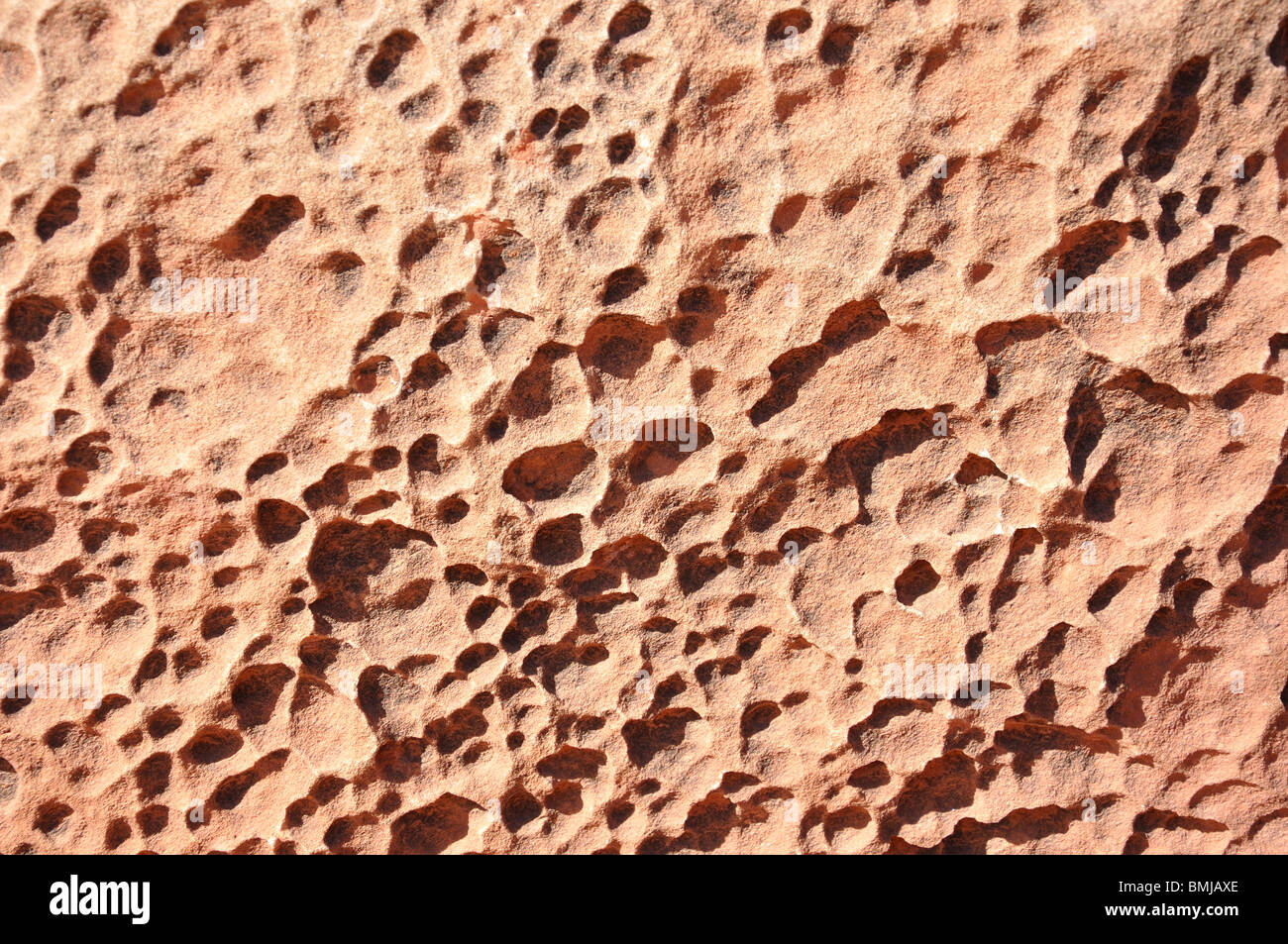 Spongy rock hi-res stock photography and images - Alamy