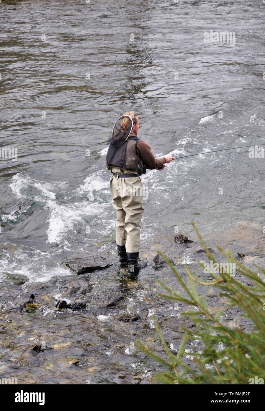 Man fly-fishing in river Ribnik Bosnia and Herzegovina Stock Photo - Alamy