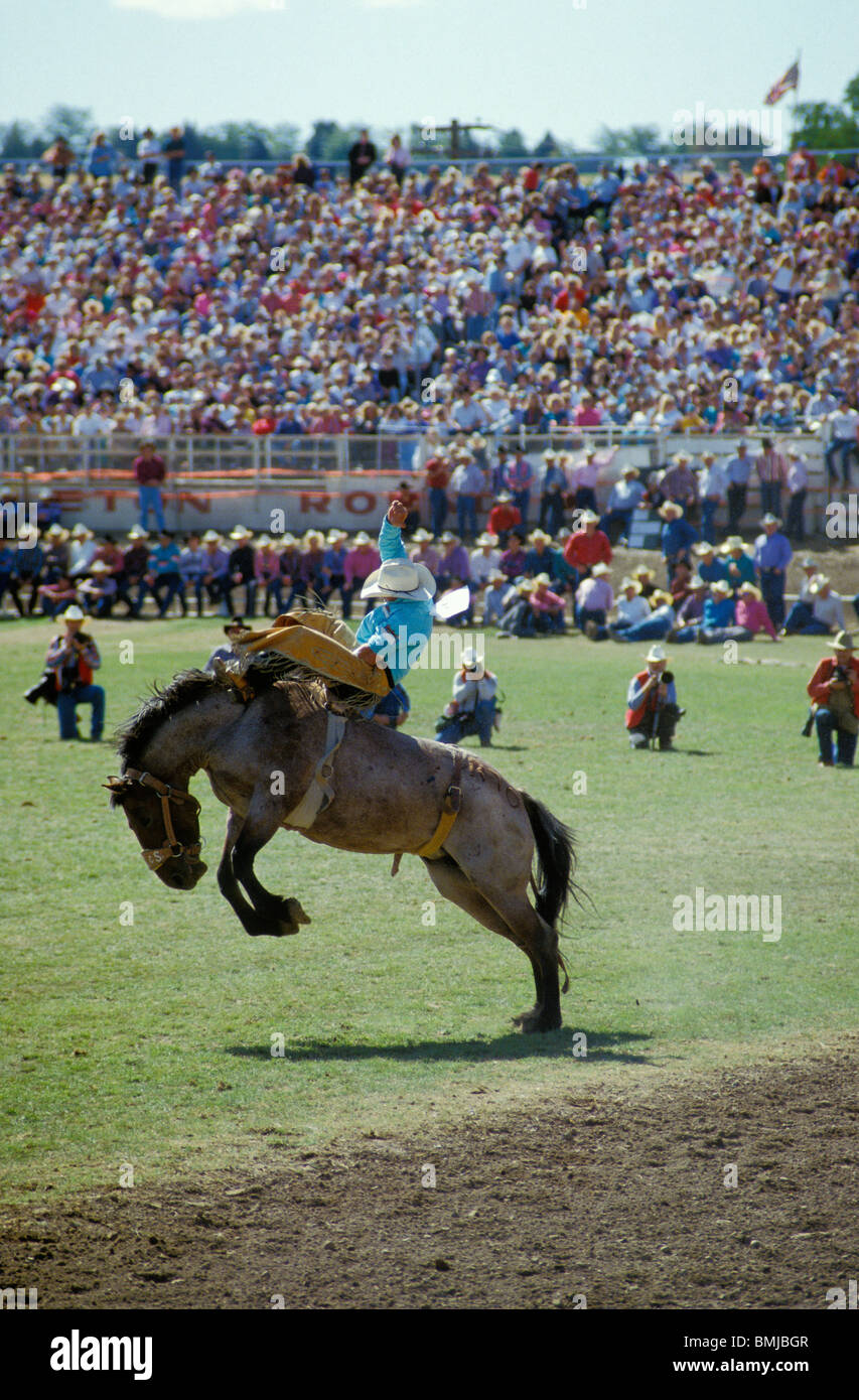 Cowboy on horse during bronc riding event at Pendleton Roundup Rodeo ...