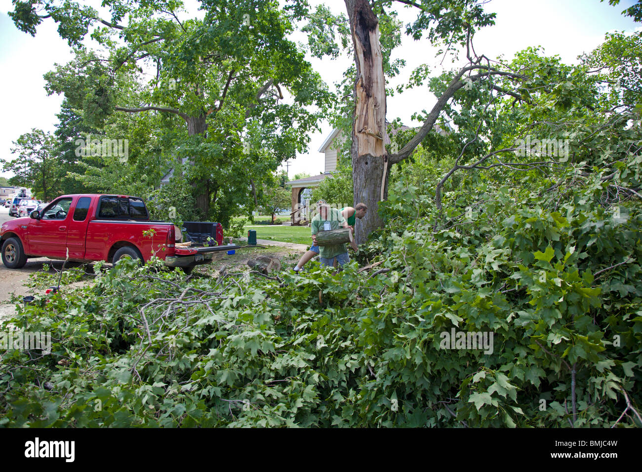 Wind Damaged Trees High Resolution Stock Photography and Images - Alamy