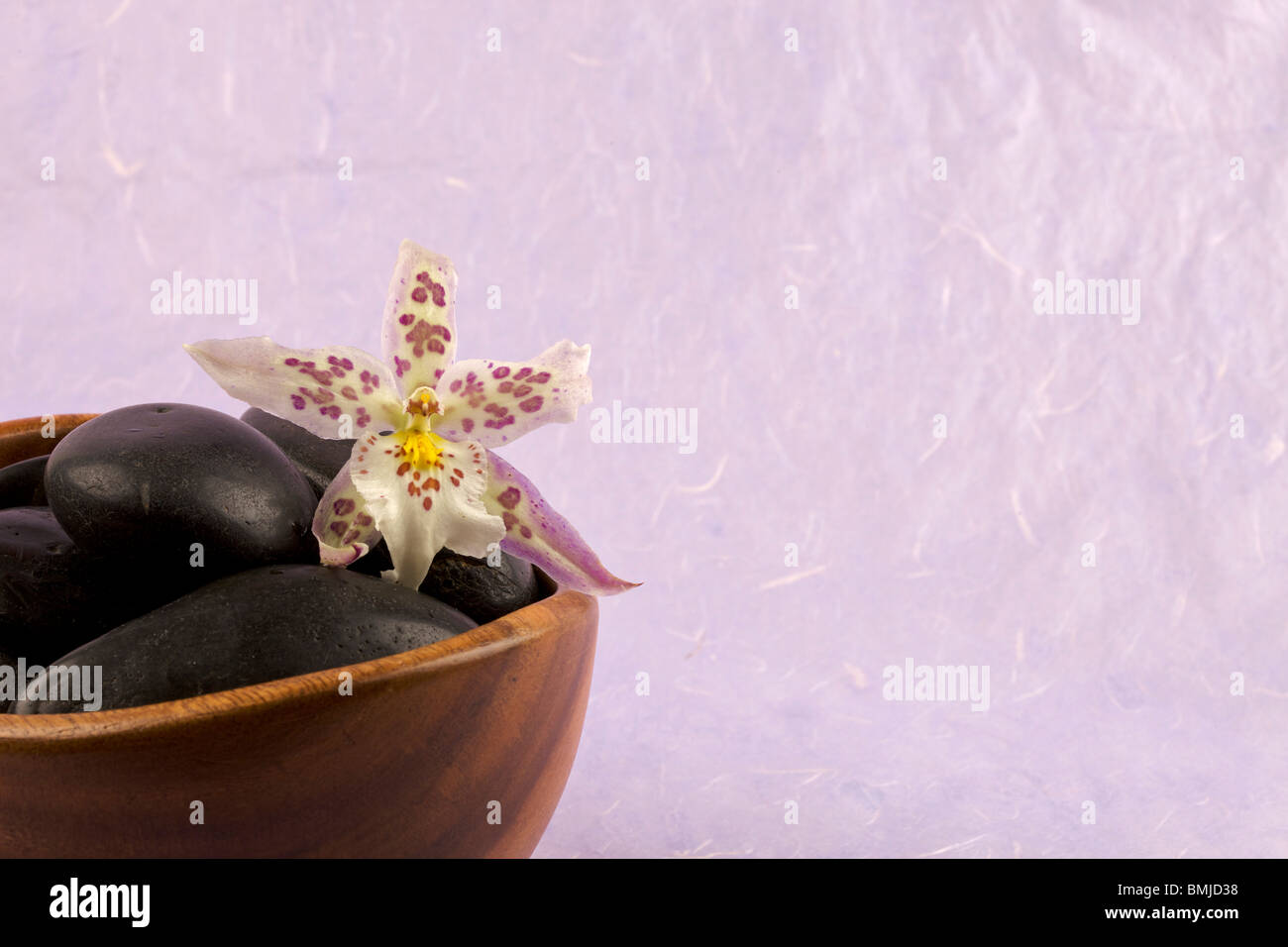 Group of like items hi-res stock photography and images - Alamy