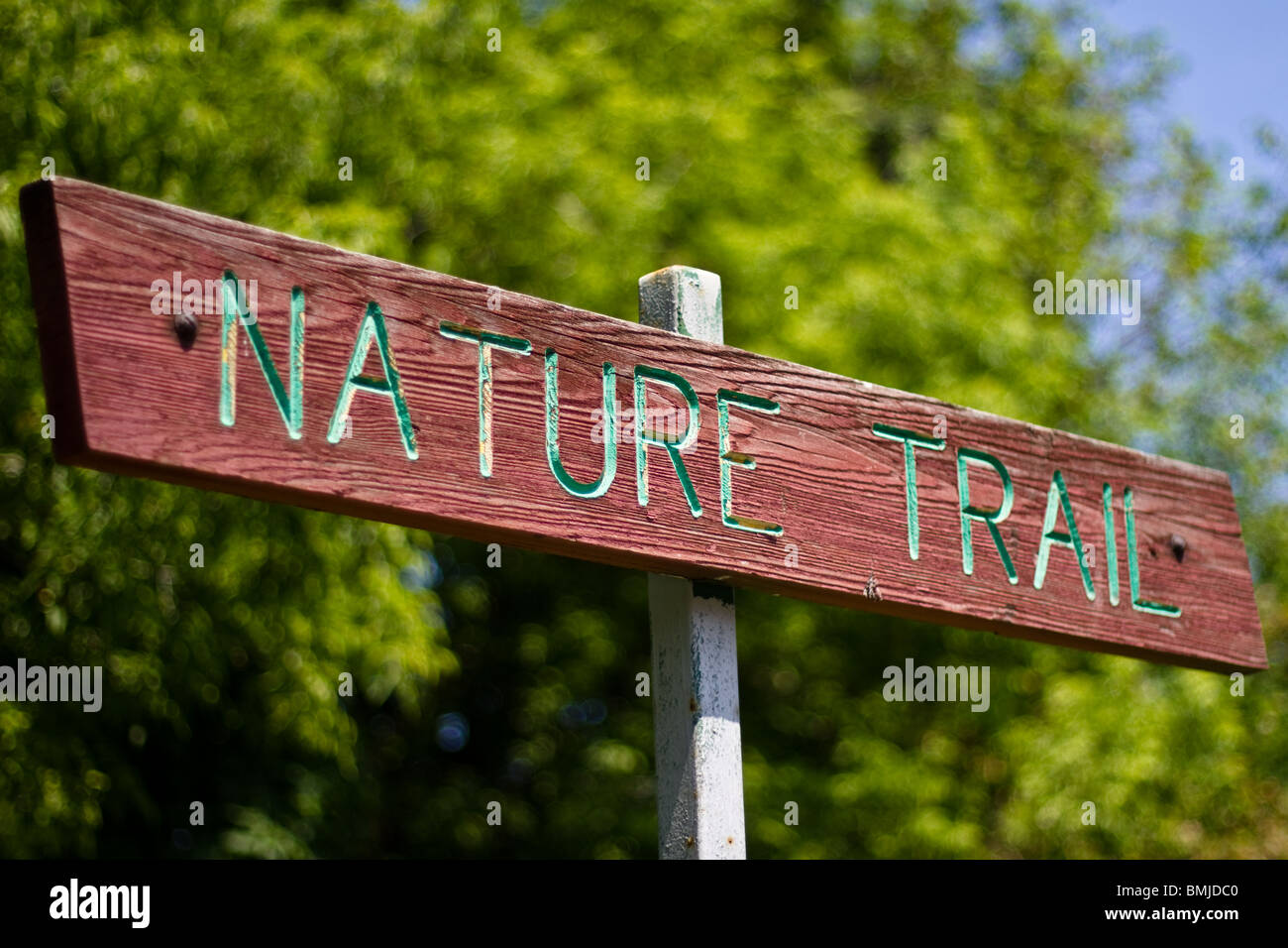 A wooden sign for a nature trail in downtown Toronto Stock Photo - Alamy