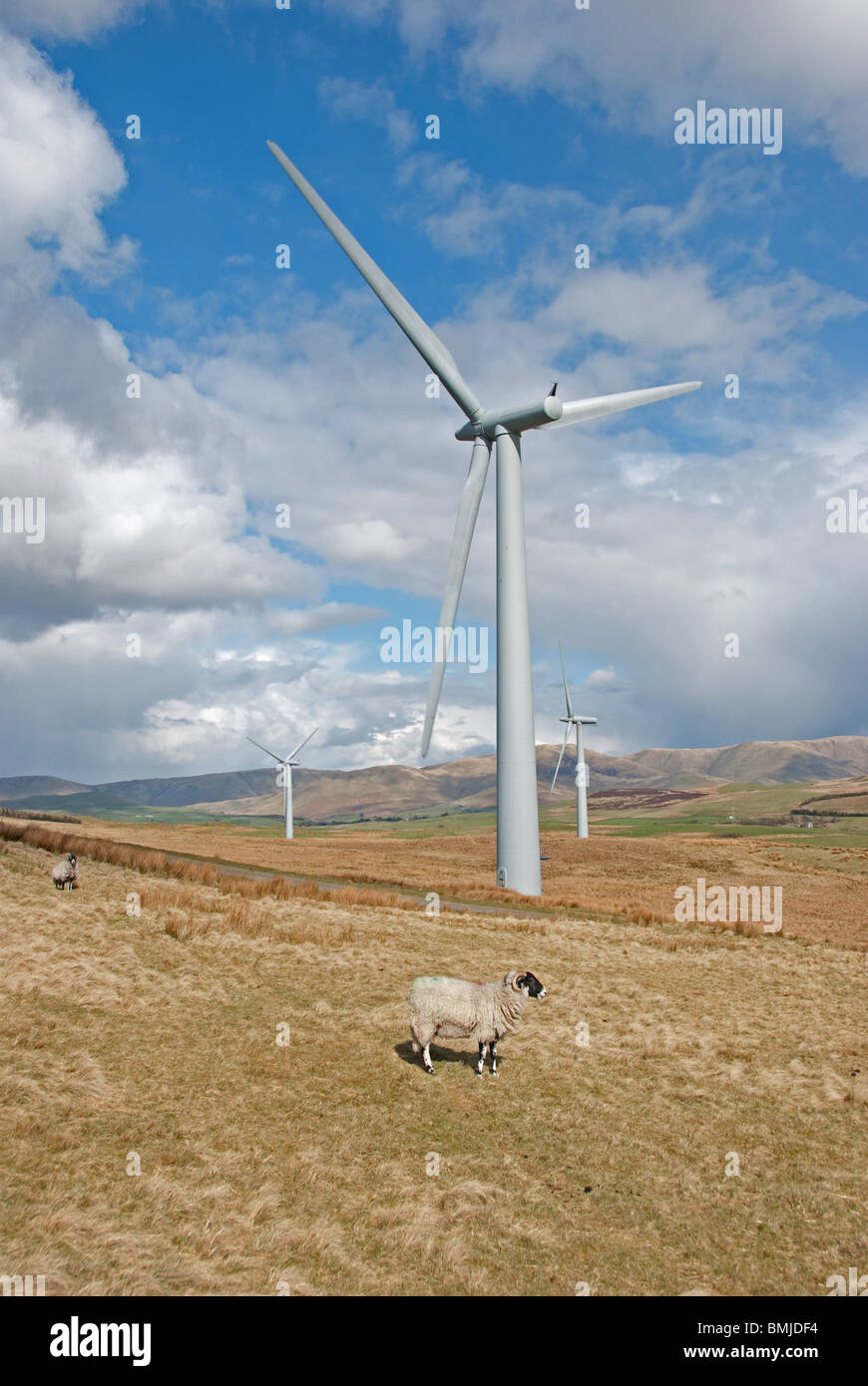 Wind turbine's stretch out across the countryside to harness the wind ...