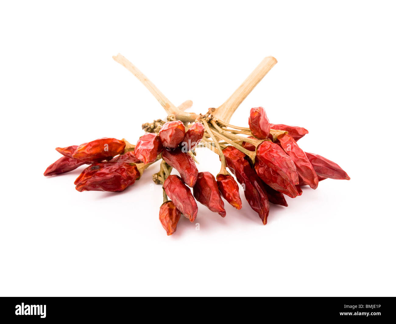 Dried red capsicum pepper on white background - hungarian seasoning ...
