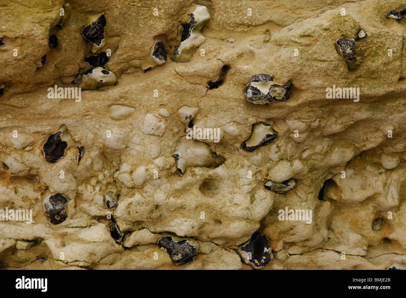 Flint Nodules High Resolution Stock Photography and Images - Alamy