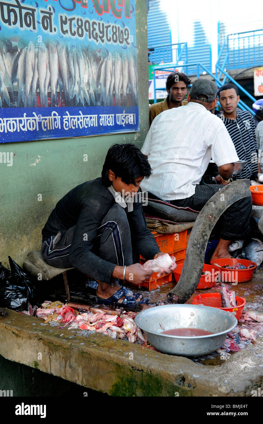 scaling fish using nepalese blade , fish market near thimi, kathmandu ...