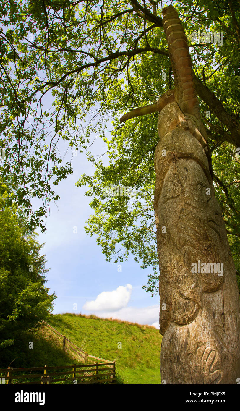 Old tree stump carved into a totem pole in visitor car park at lambley ...