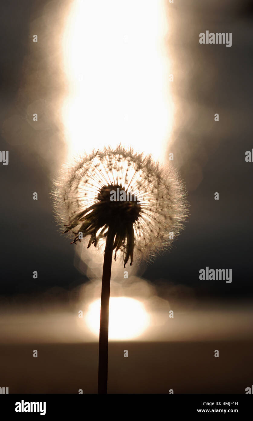 Lit with blacklight hi-res stock photography and images - Alamy