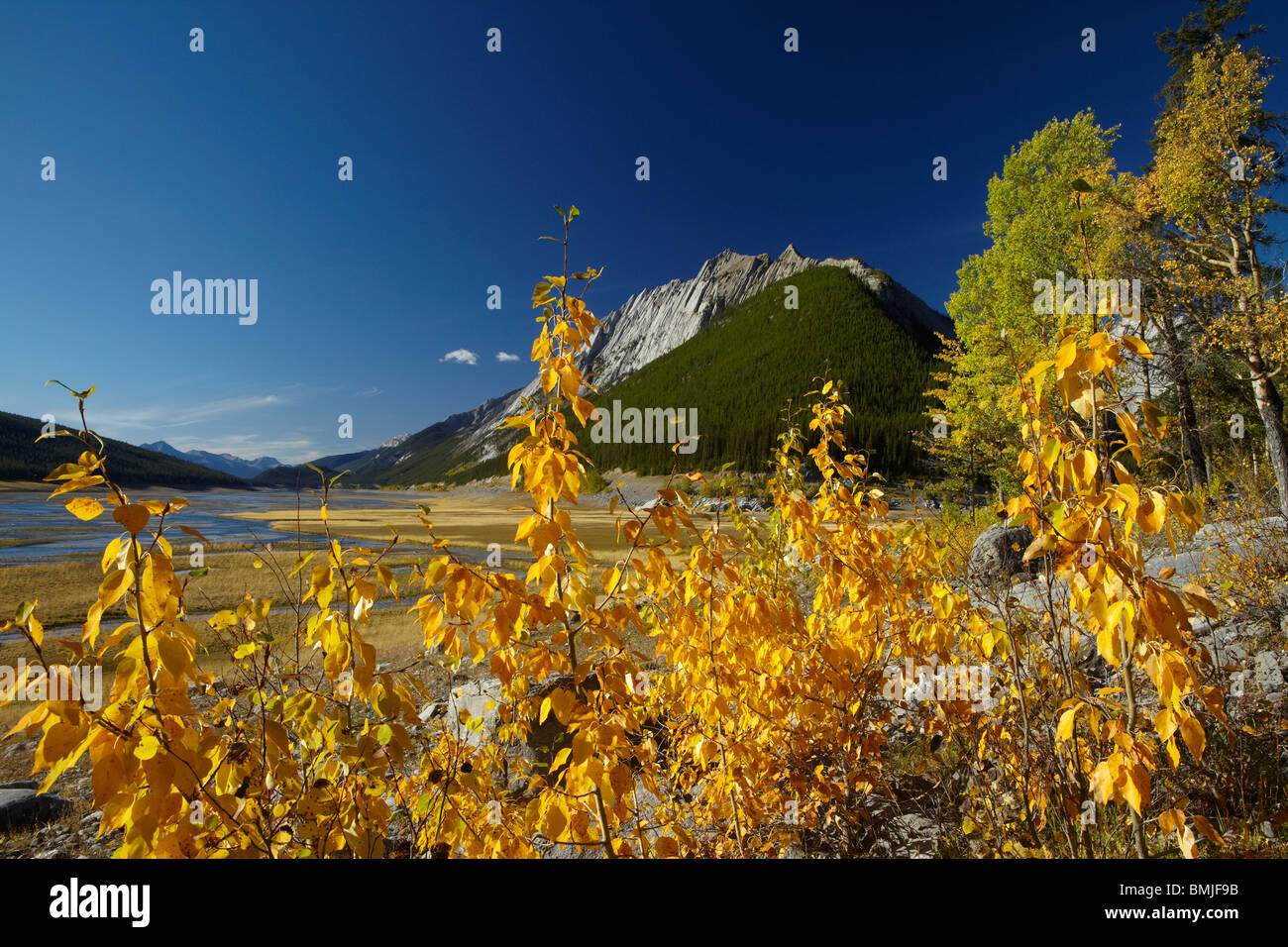 Maligne valley hi-res stock photography and images - Alamy