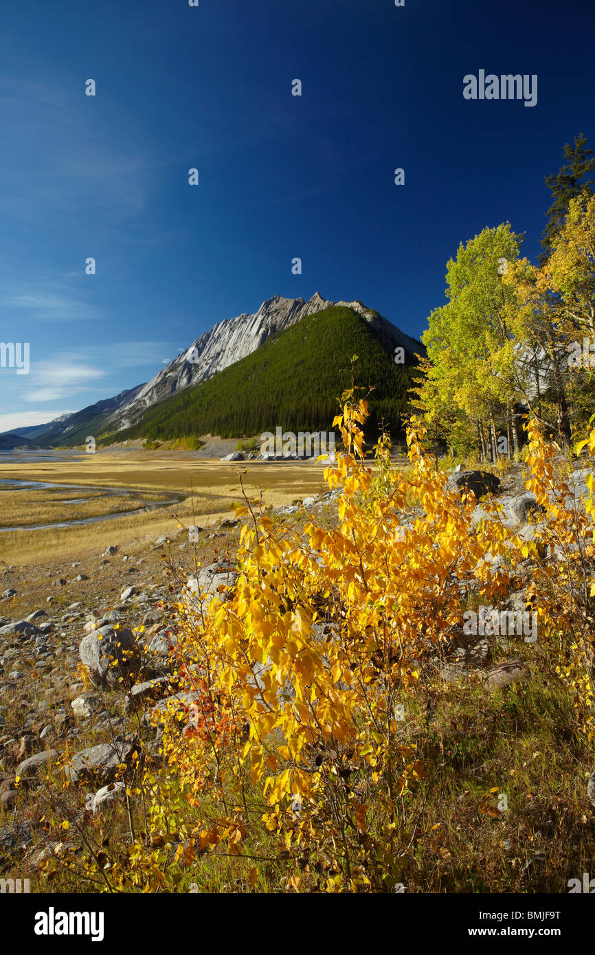 Maligne valley hi-res stock photography and images - Alamy