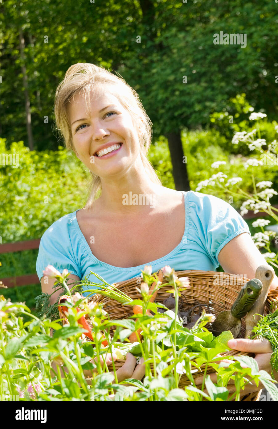 Informal hedges hi-res stock photography and images - Alamy