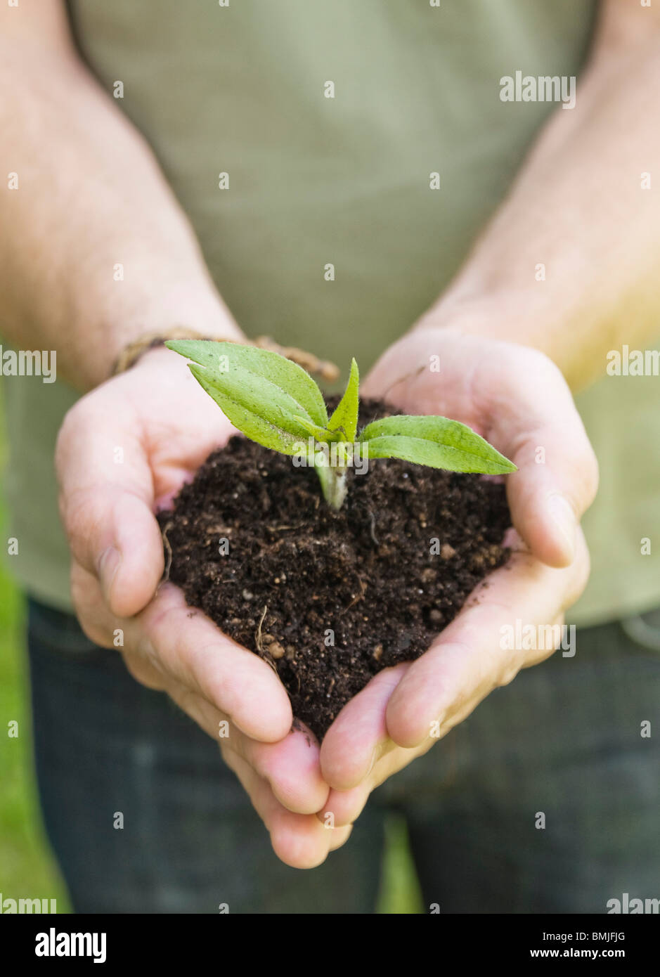 Supporting soil hi-res stock photography and images - Alamy