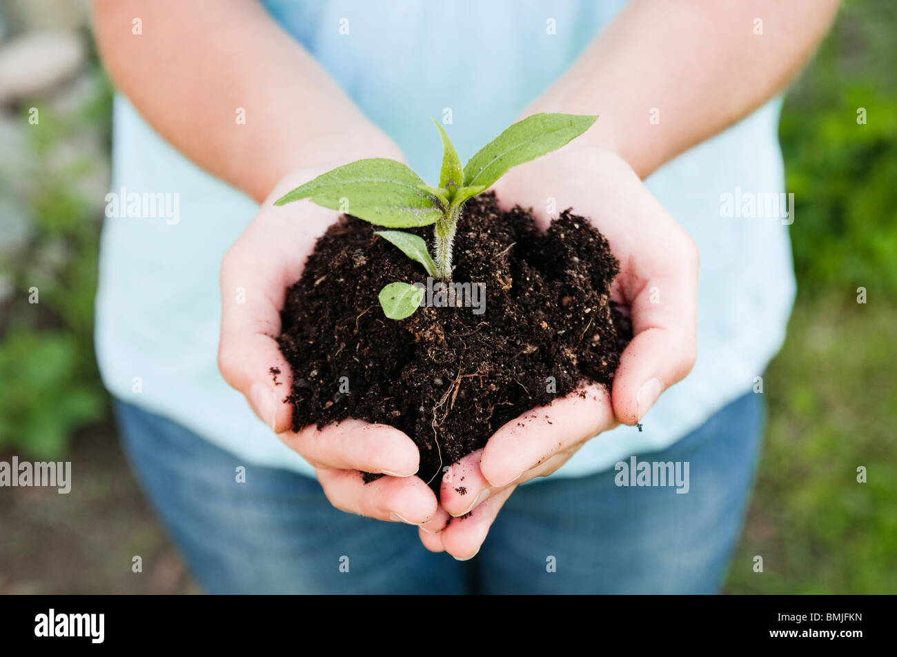 Plant in hand hi-res stock photography and images - Alamy
