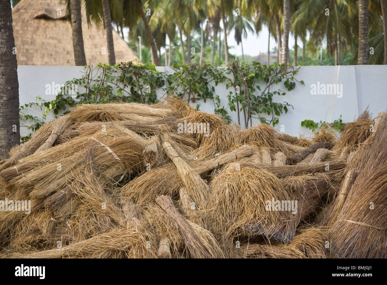 Africa, West Africa, Benin, Ouidah, Bight of Benin Stock Photo - Alamy