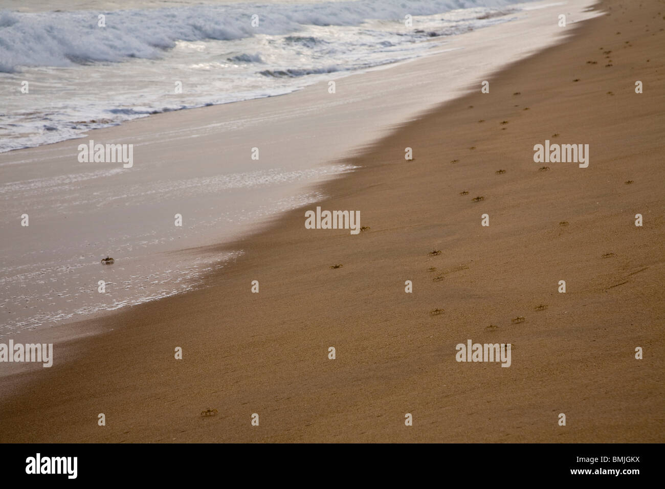 Africa, West Africa, Benin, Ouidah, Bight of Benin, Atlantic Ocean ...