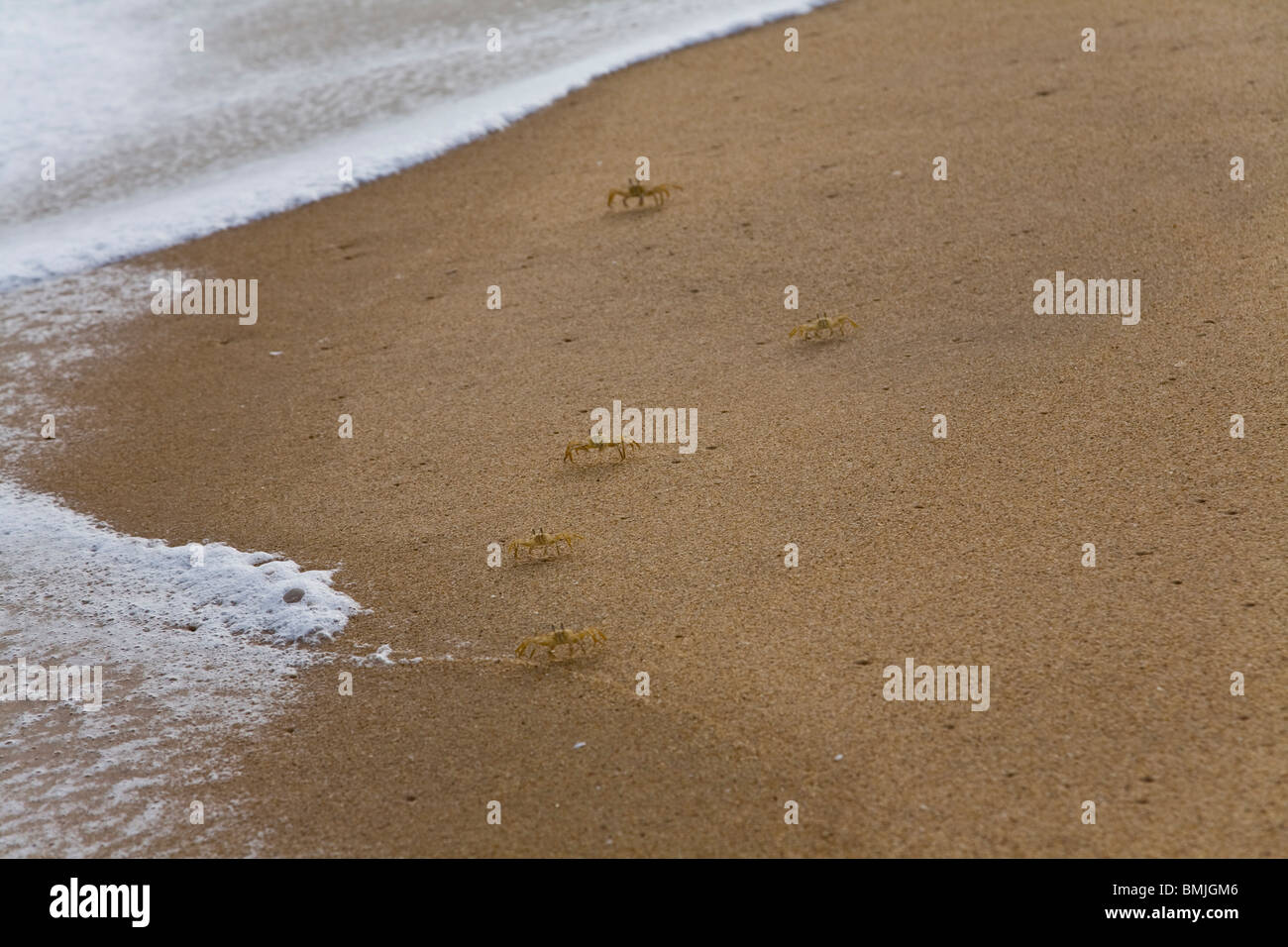 Africa, West Africa, Benin, Ouidah, Bight of Benin, Atlantic Ocean ...