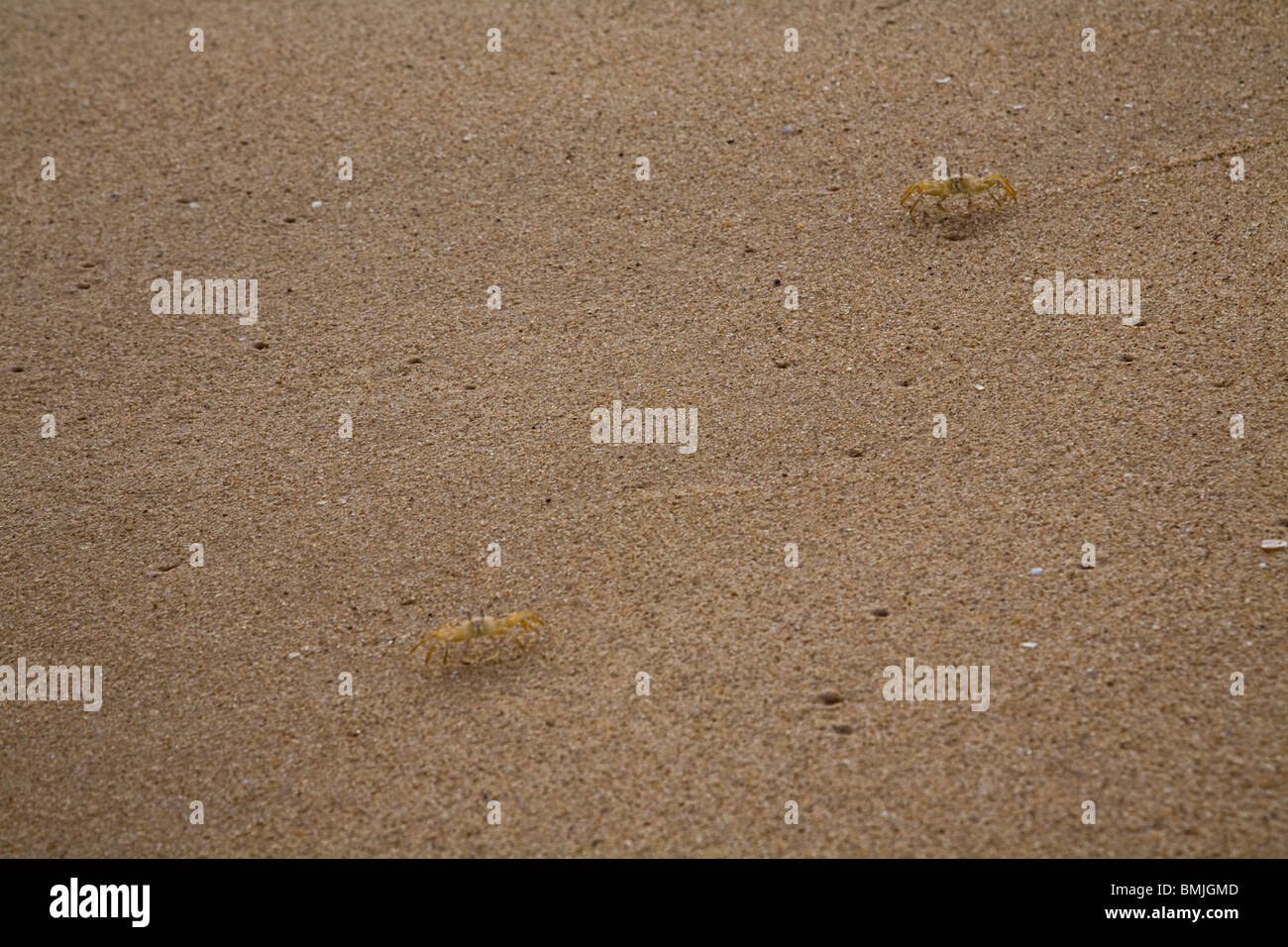 Africa, West Africa, Benin, Ouidah, Bight of Benin, Atlantic Ocean ...