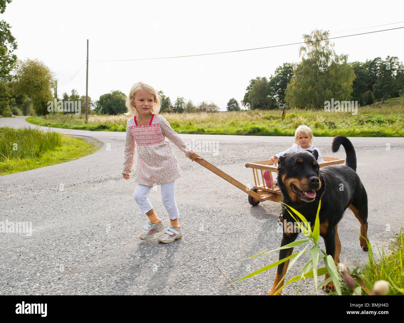 Children walking dog lead hi-res stock photography and images - Alamy