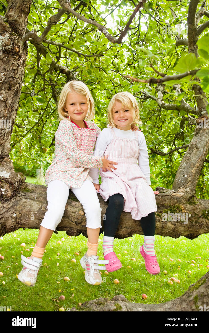Two girls sitting in a tree Stock Photo - Alamy