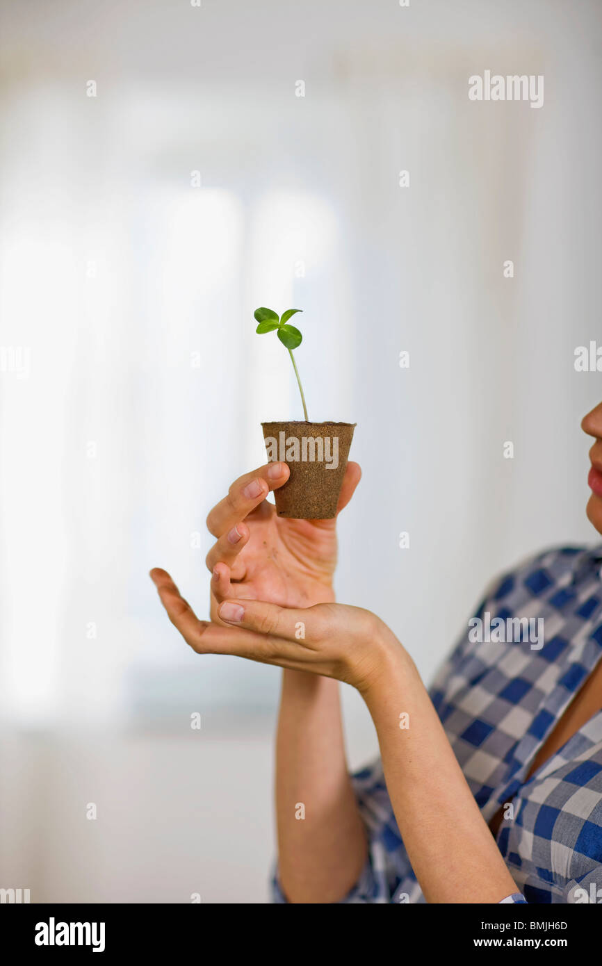 Little Plant High Resolution Stock Photography and Images - Alamy