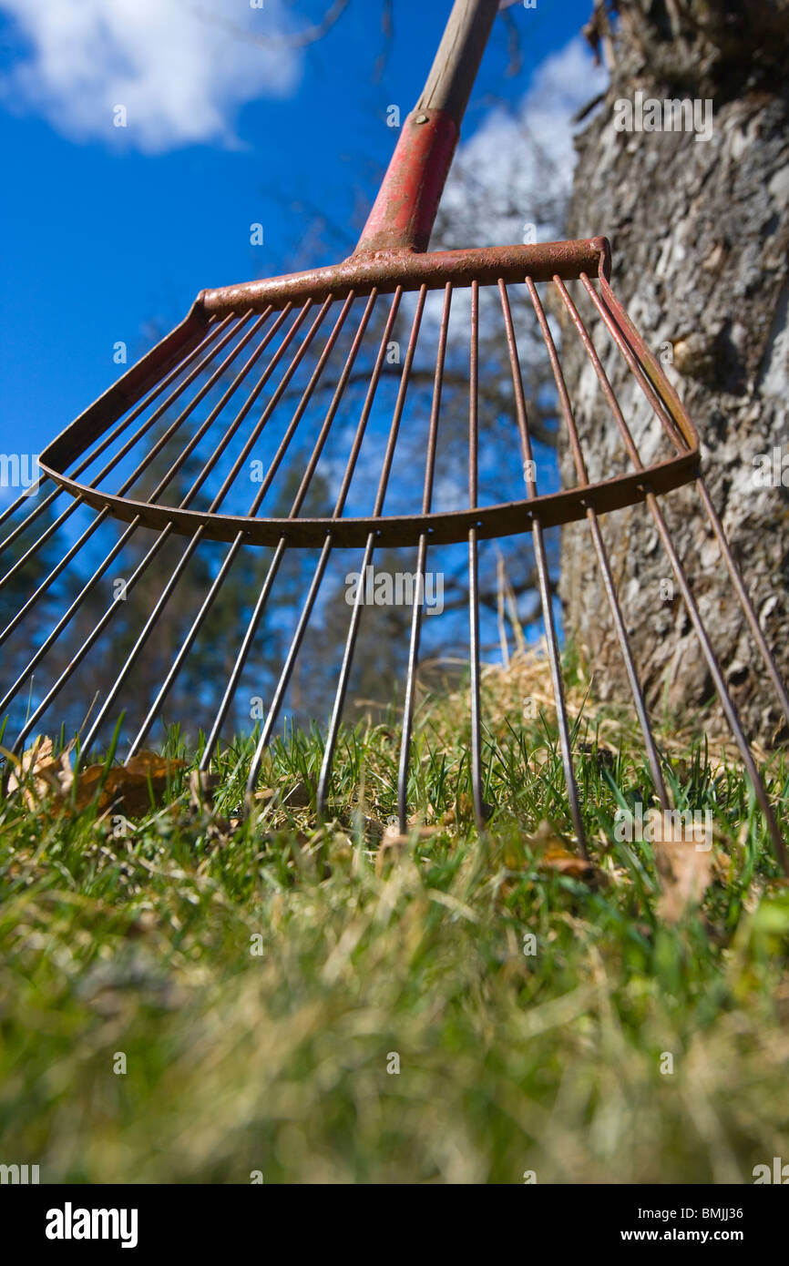 A rusty rake, Sweden Stock Photo - Alamy