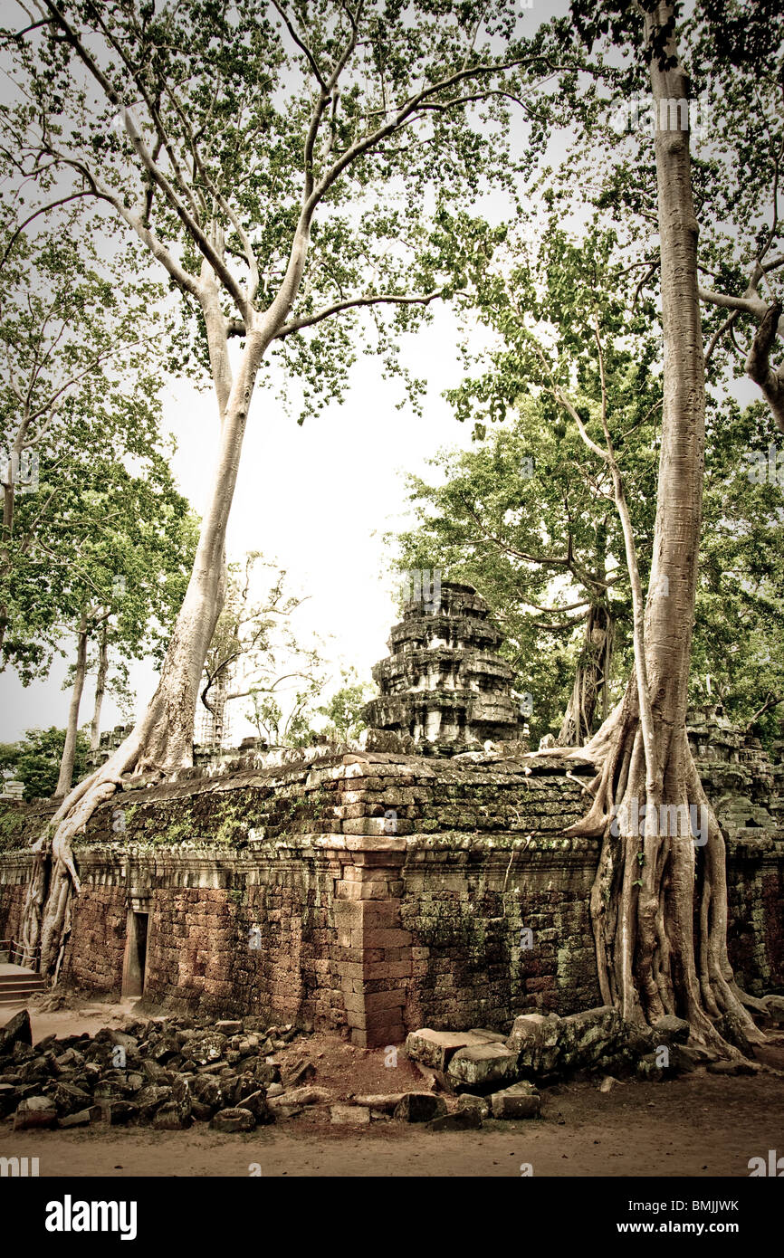 Deep temple hi-res stock photography and images - Alamy