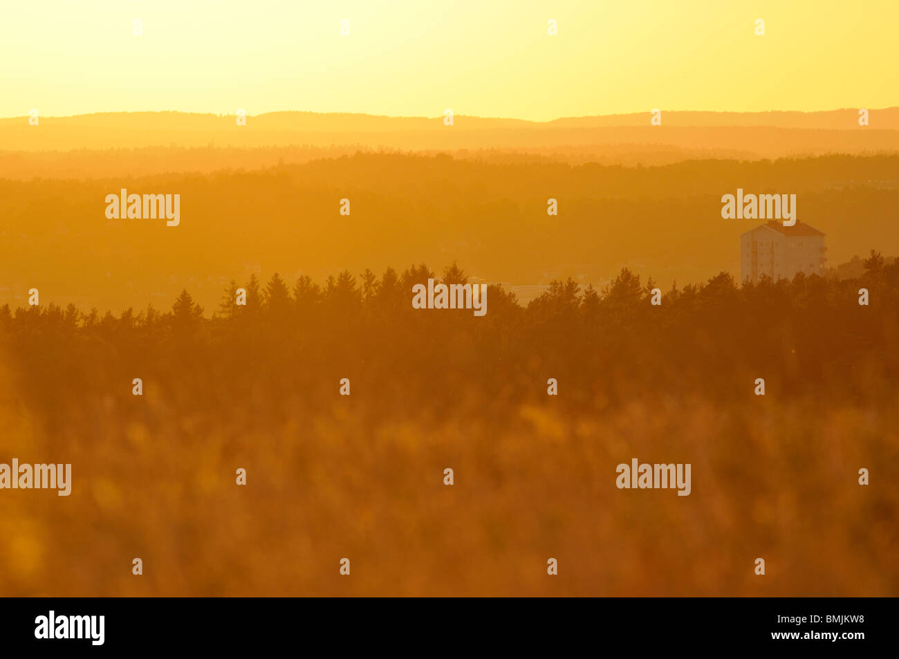 View over a forest Stock Photo - Alamy