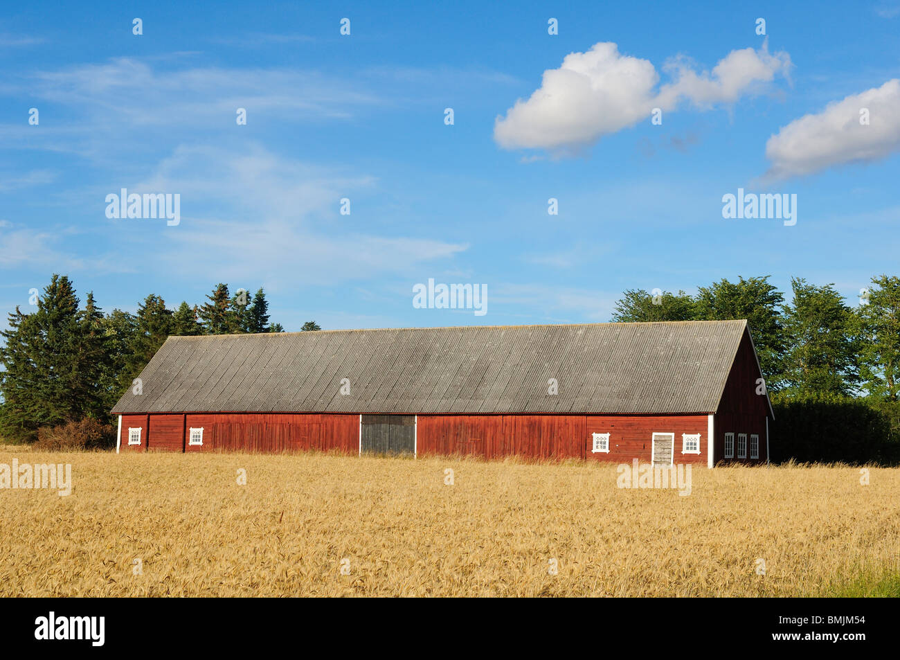 Scandinavian Peninsula, Sweden, Ostergotland, Barn in field Stock Photo ...
