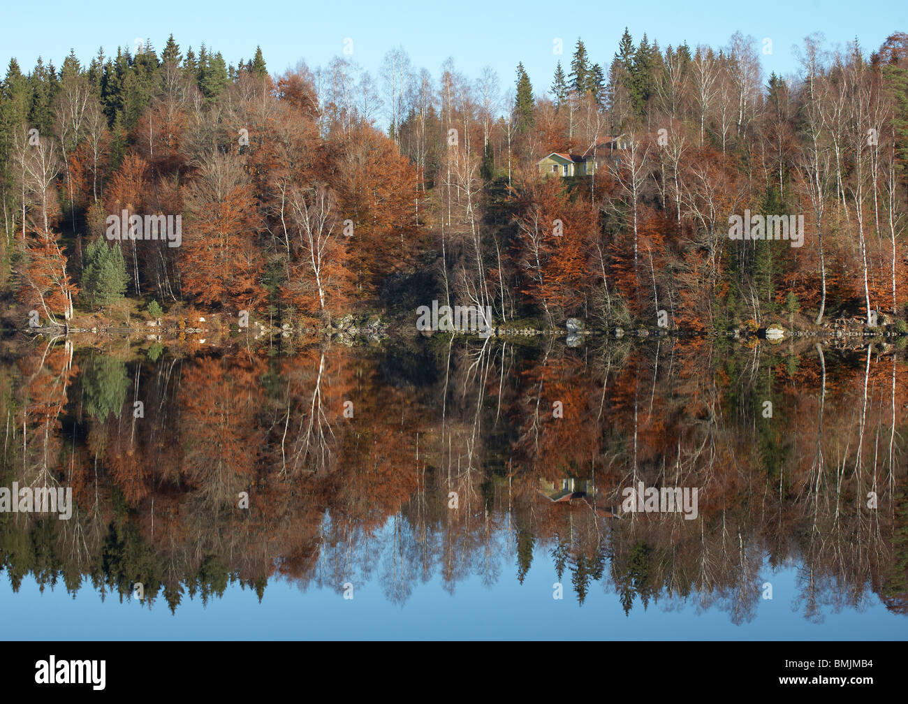 Scandinavia, Sweden, Vastergotland, Trees reflecting in lake Stock ...