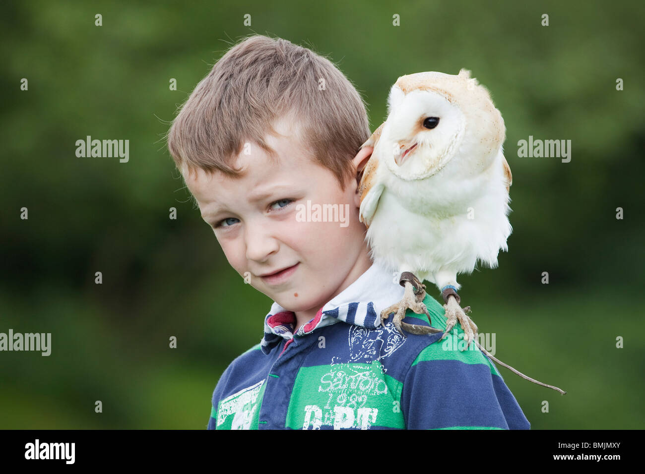 A Barn Owl sitting on a young boy's shoulder at a country park in ...