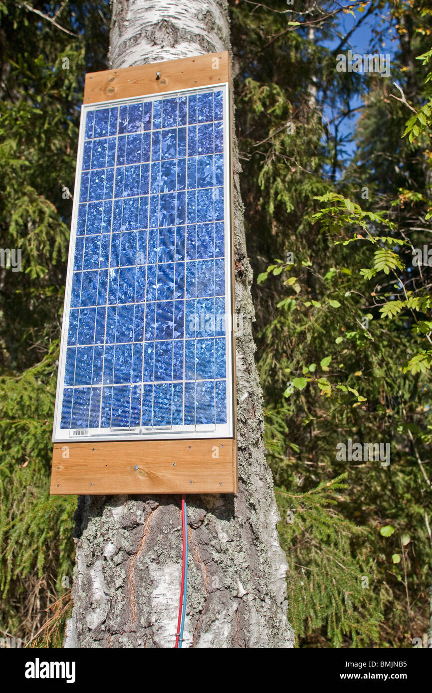 Solar panel tree hi-res stock photography and images - Alamy