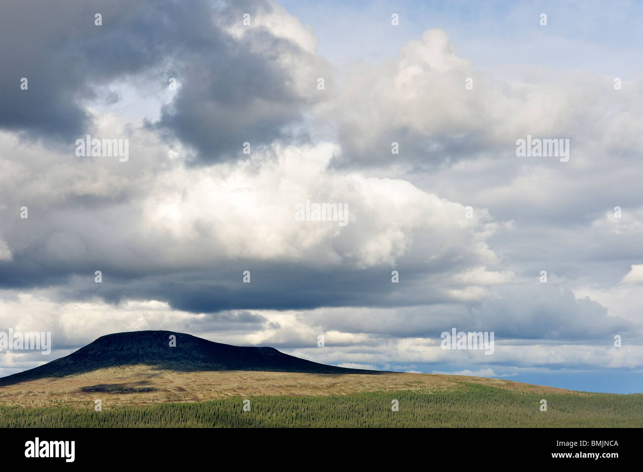Shade landscapes hi-res stock photography and images - Alamy