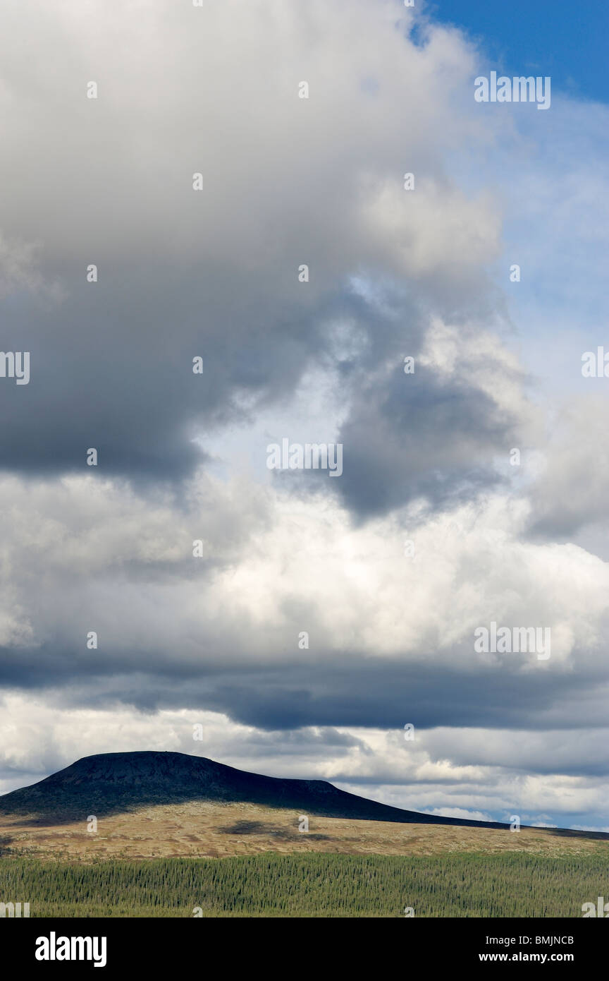 Shade landscapes hi-res stock photography and images - Alamy