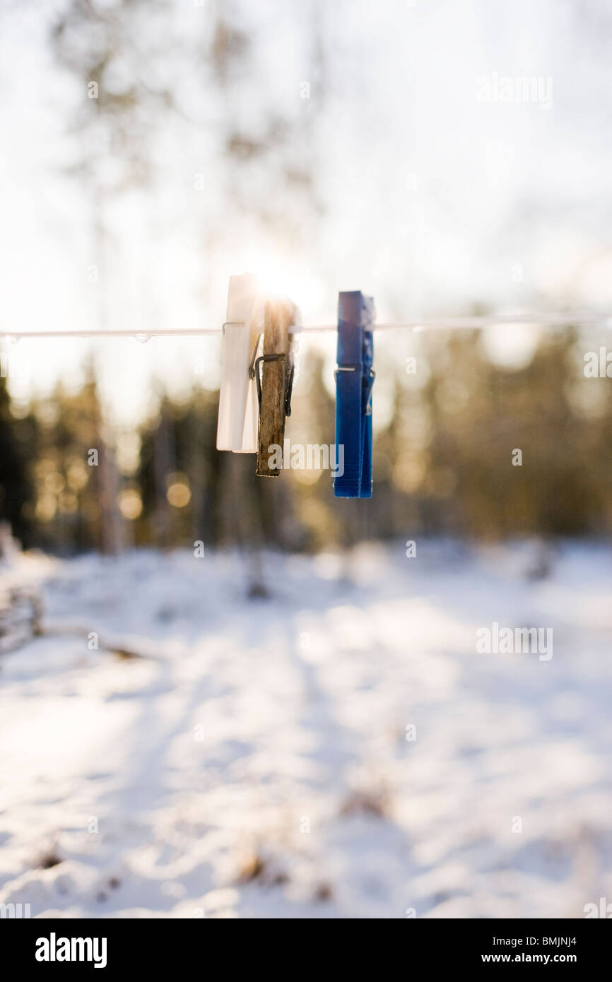 Scandinavian Peninsula, Sweden, Skane, View of washing line with ...