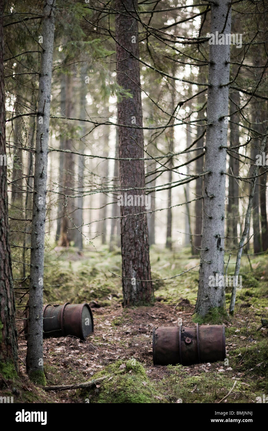 Scandinavian Peninsula, Sweden, Skane, View of oil dump in forest Stock ...